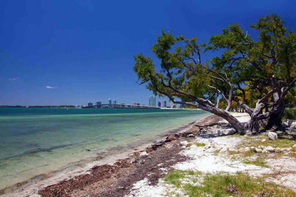 Hobie Beach: the place for Windsurfing and pet lovers - AMG Realty